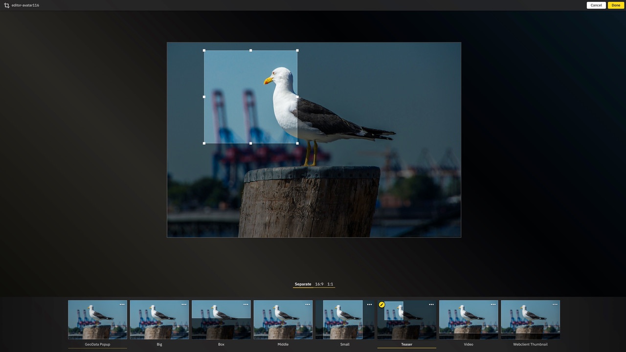 Sophora CMS – subshell